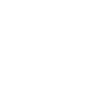 MSNH – Meeting Seniors Needs Hotline