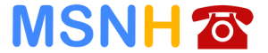 About – MSNH